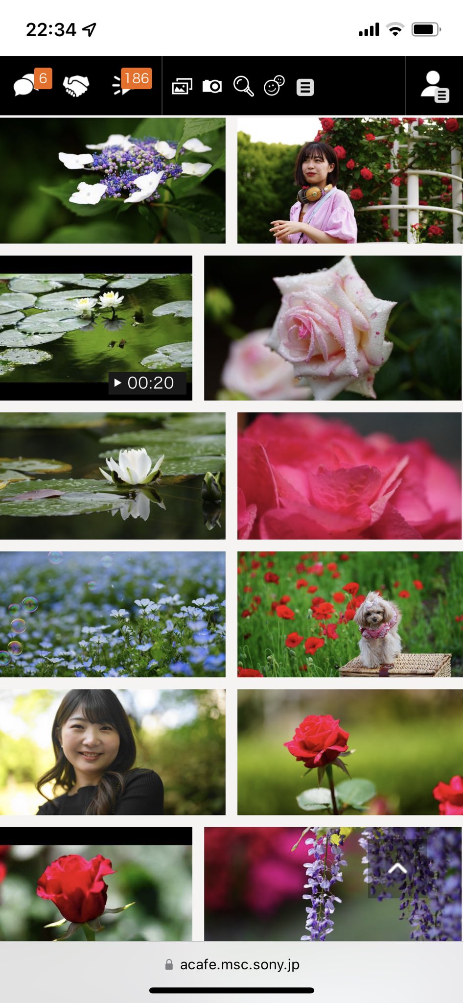 james 🍈🍞🍭 (@winwin88) / Twitter