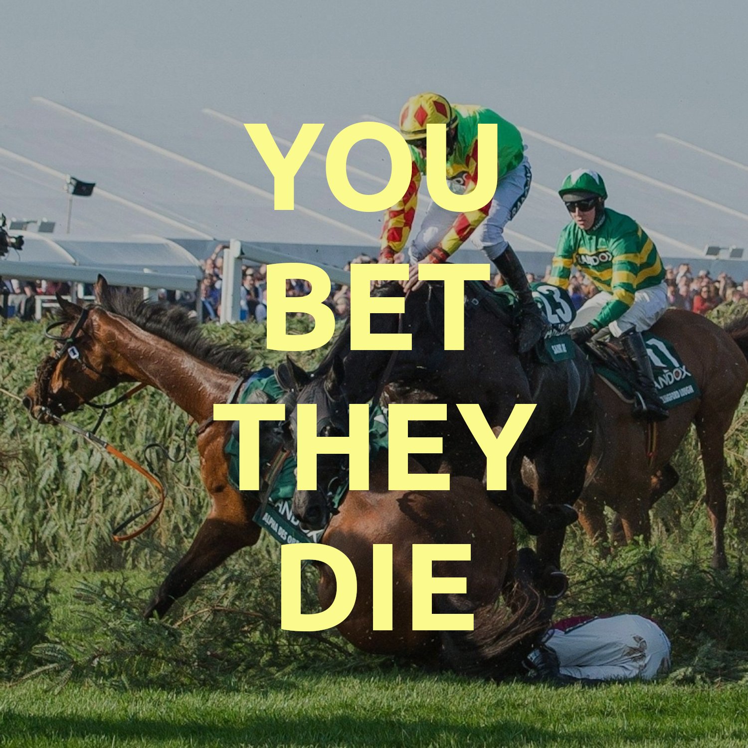 Anti Horse Racing Memes Equestrian