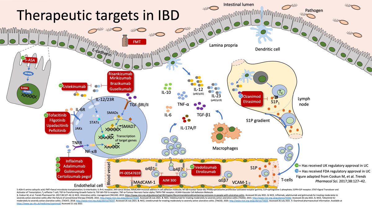 We have an effective toolkit to help many people living with IBD. When ...