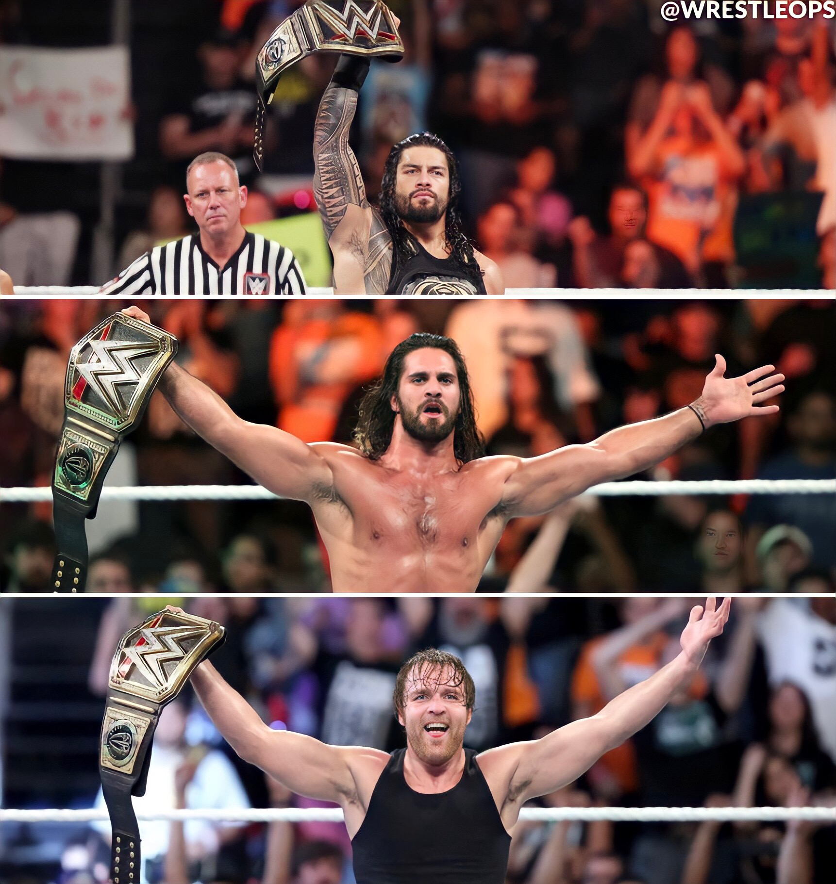 Wwe Shield Members