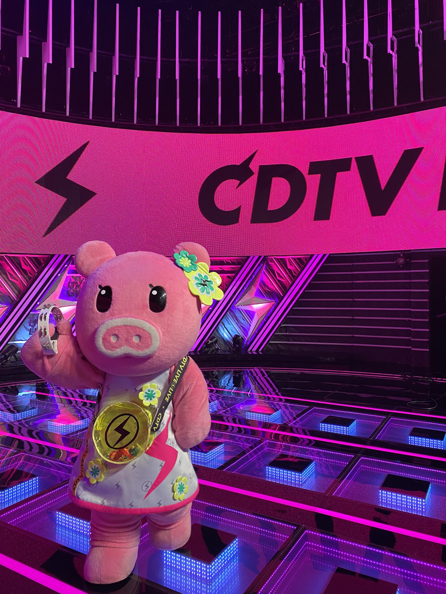 江藤愛/TBSアナウンサー on Twitter: "#CDTVライブライブ 皆さんお気づきでしたか？ Boonaのポーチの中に アビー君が入っていることを…😎⚡️ 明日は、夜7時から夜10時 ...