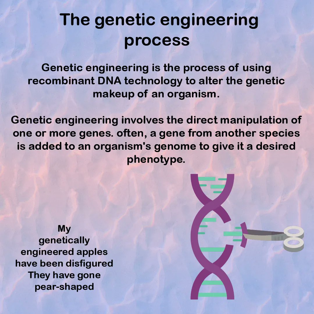 Genetic Engineering Process