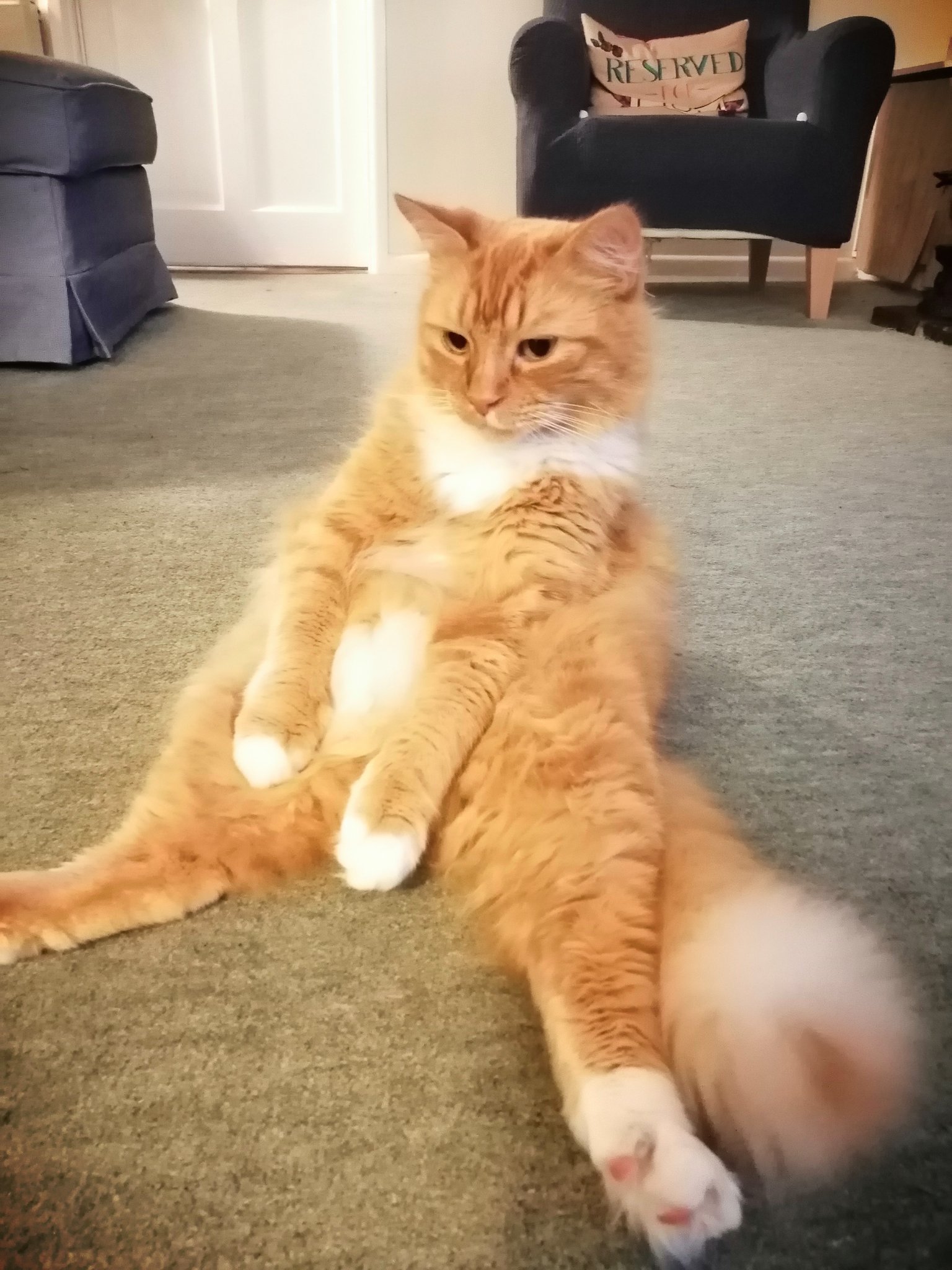 SlackJeff (@SlackJeffTV) / Twitter