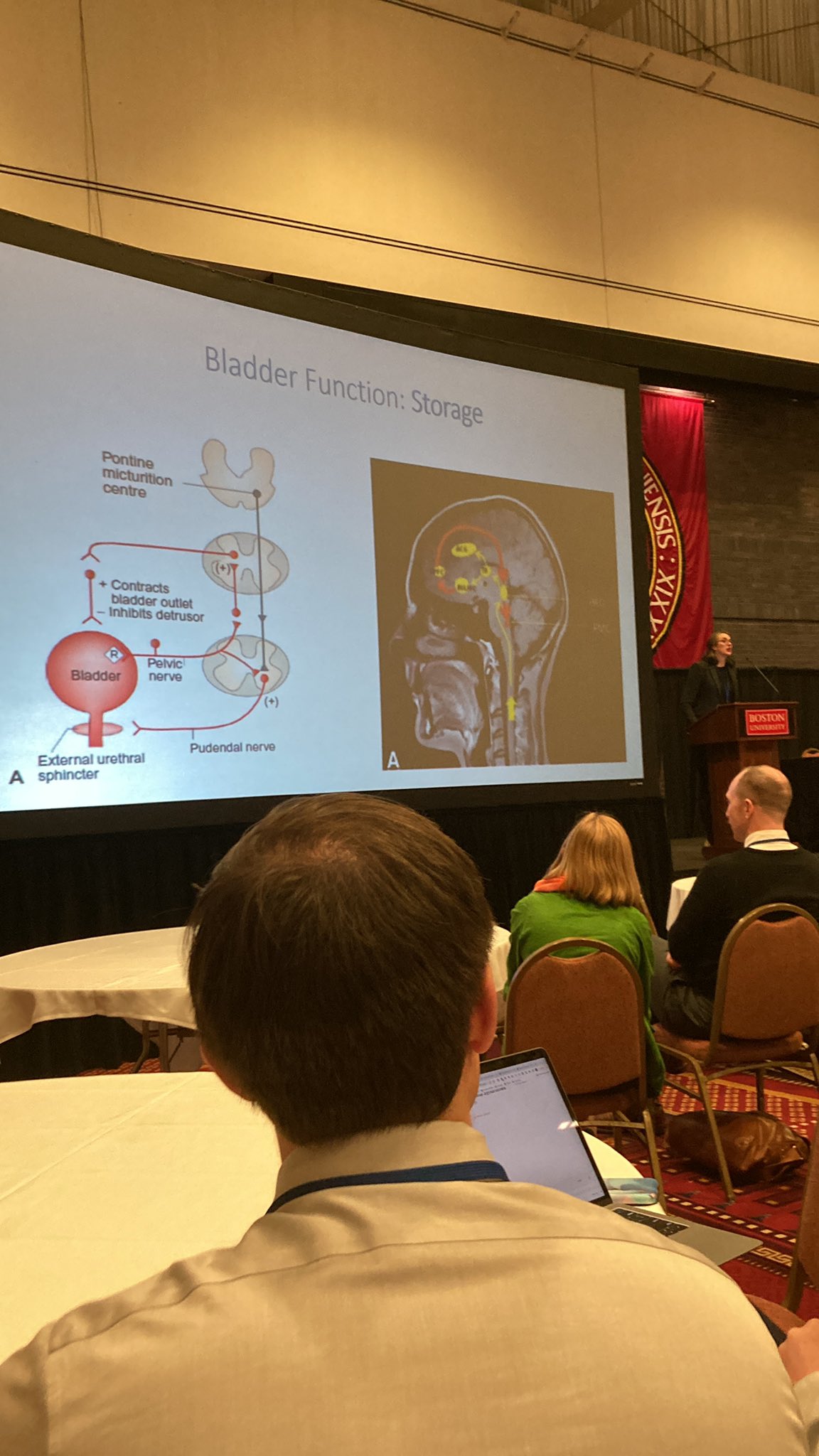 Neil Ramsay (@NjRamsay) / Twitter