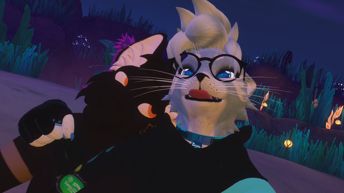 AlexThatPlaysGuitar!🇮🇹 🔜Furality Aqua!! 🐋🐬 on Twitter: "Met some amazing beans at Furality ...