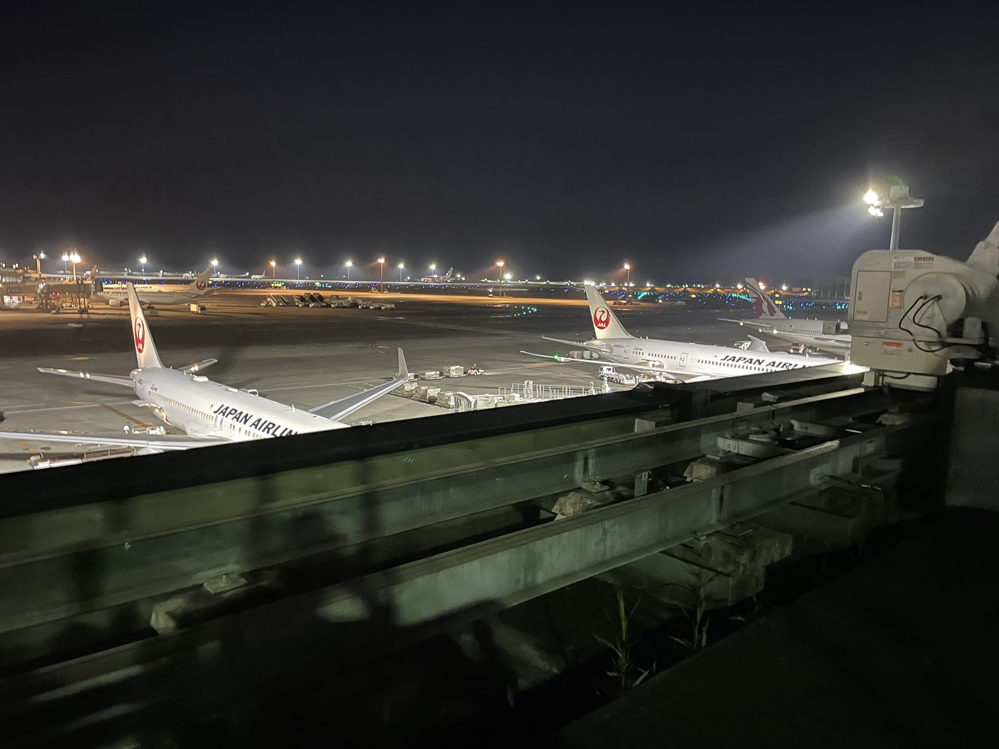 Mikiya 🇩🇪 (@mikiya_naito) / Twitter