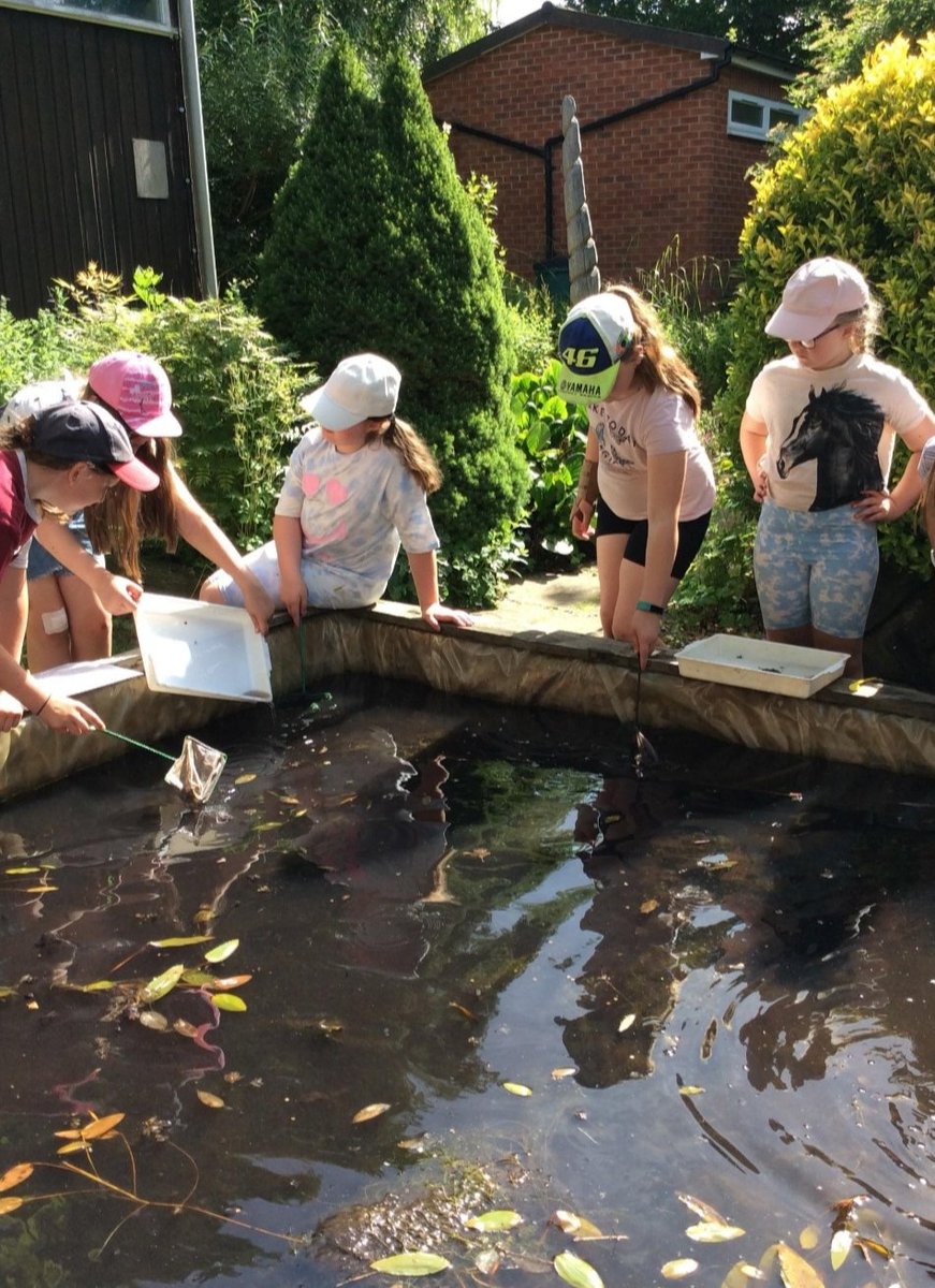 Welcome to Manor Primary School