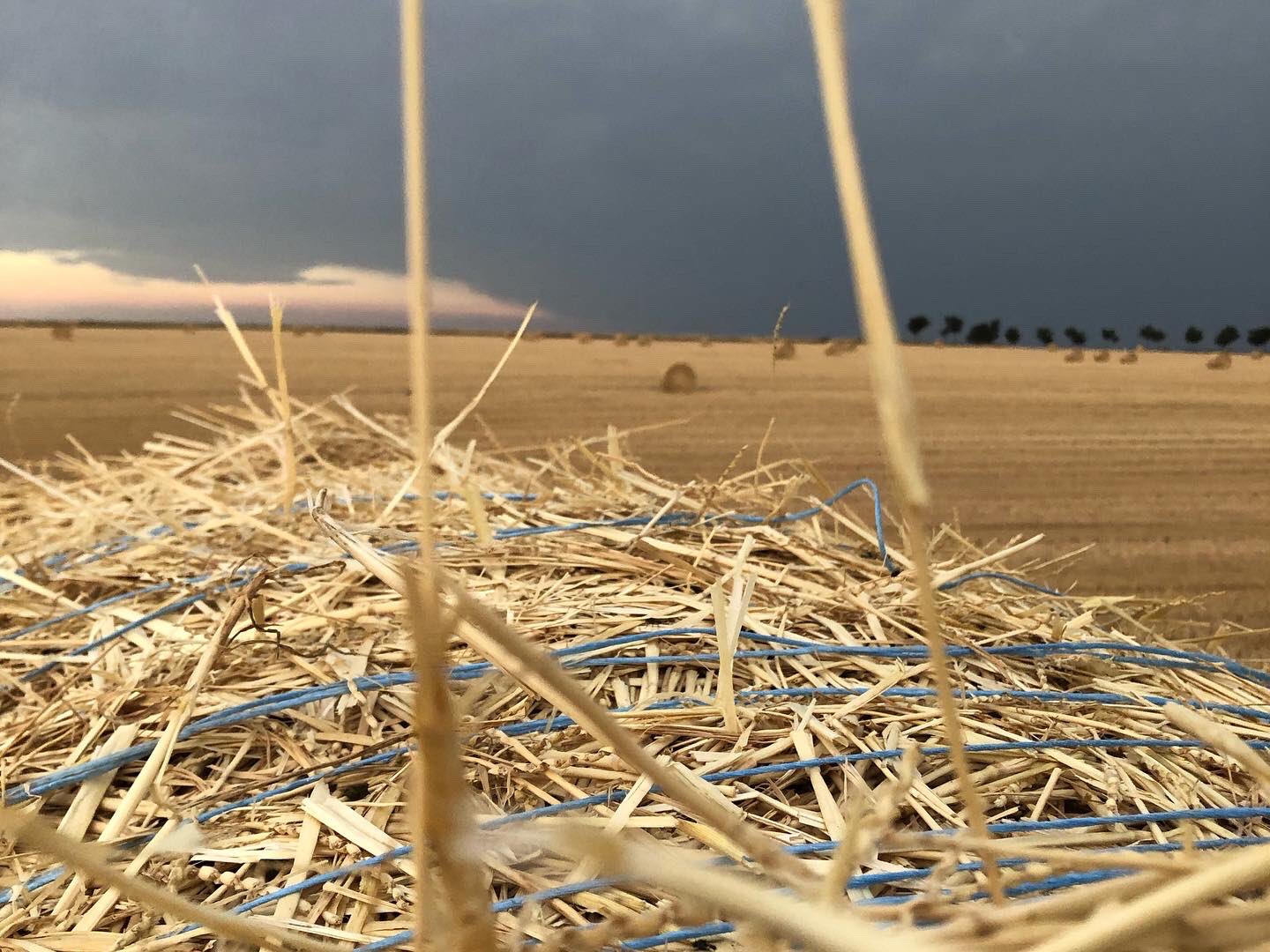Climat-Vendée on Twitter: Climat-Vendée on Twitter: