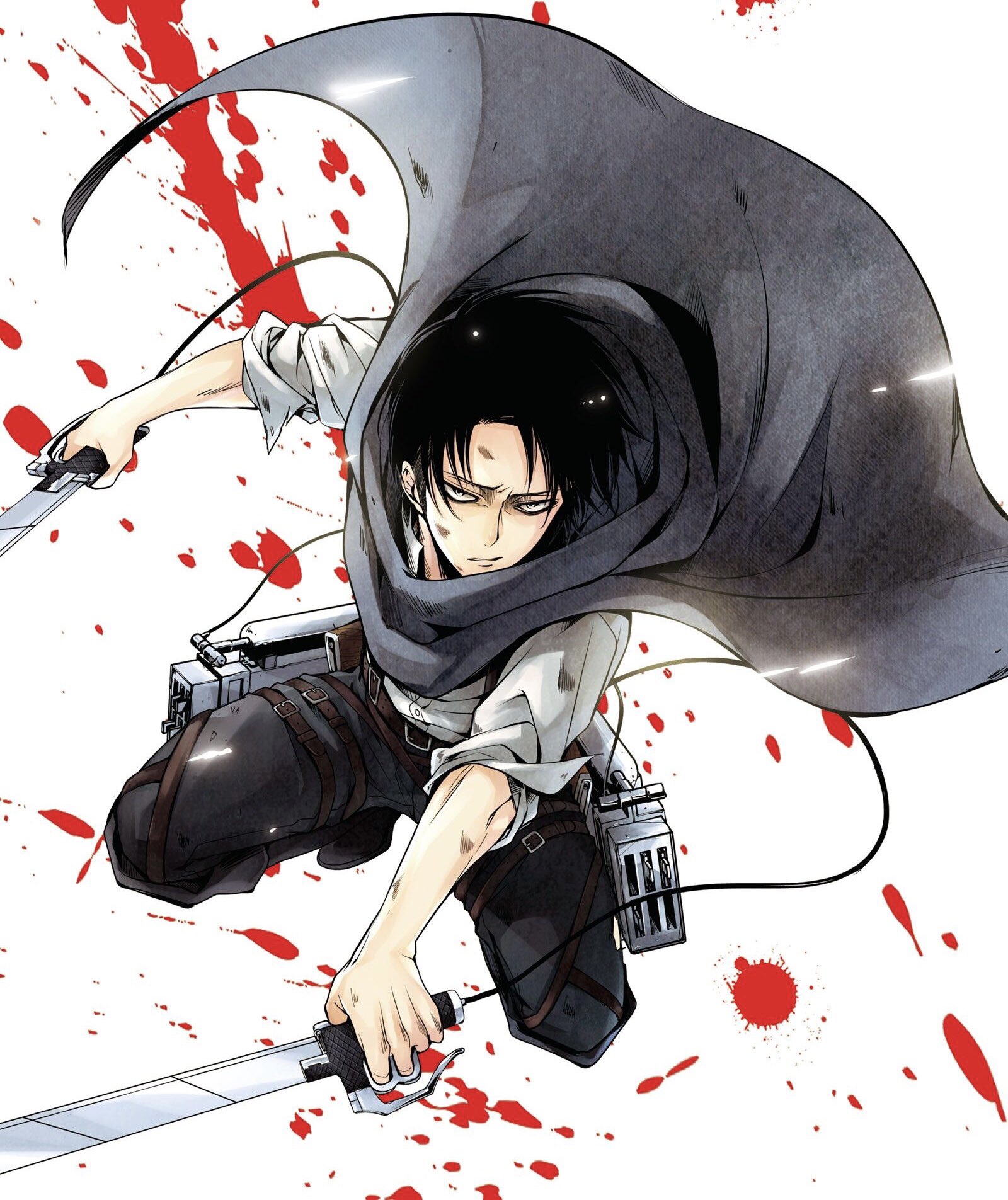 Attack on Titan Wiki on Twitter: "Levi Ackerman https://t.co/1eh6io9gOE" / Twitter