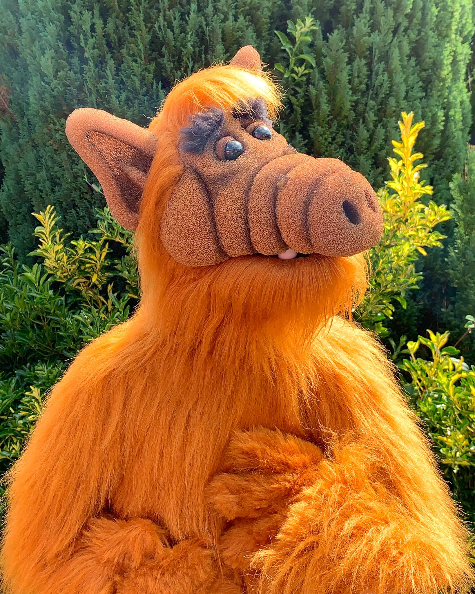 Alf Tv Show Doll Alf | Galactic Creatures Wiki | Fandom