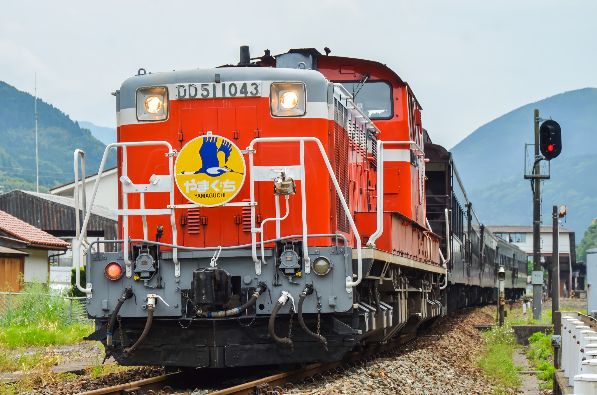 國鐵山口 on Twitter: "2022/05/15 DLやまぐち号(SL代走) DD51 1043+35系 5B 入換 入換してて適当に撮ったこの写真が DD51を撮影した写真で一番気に ...