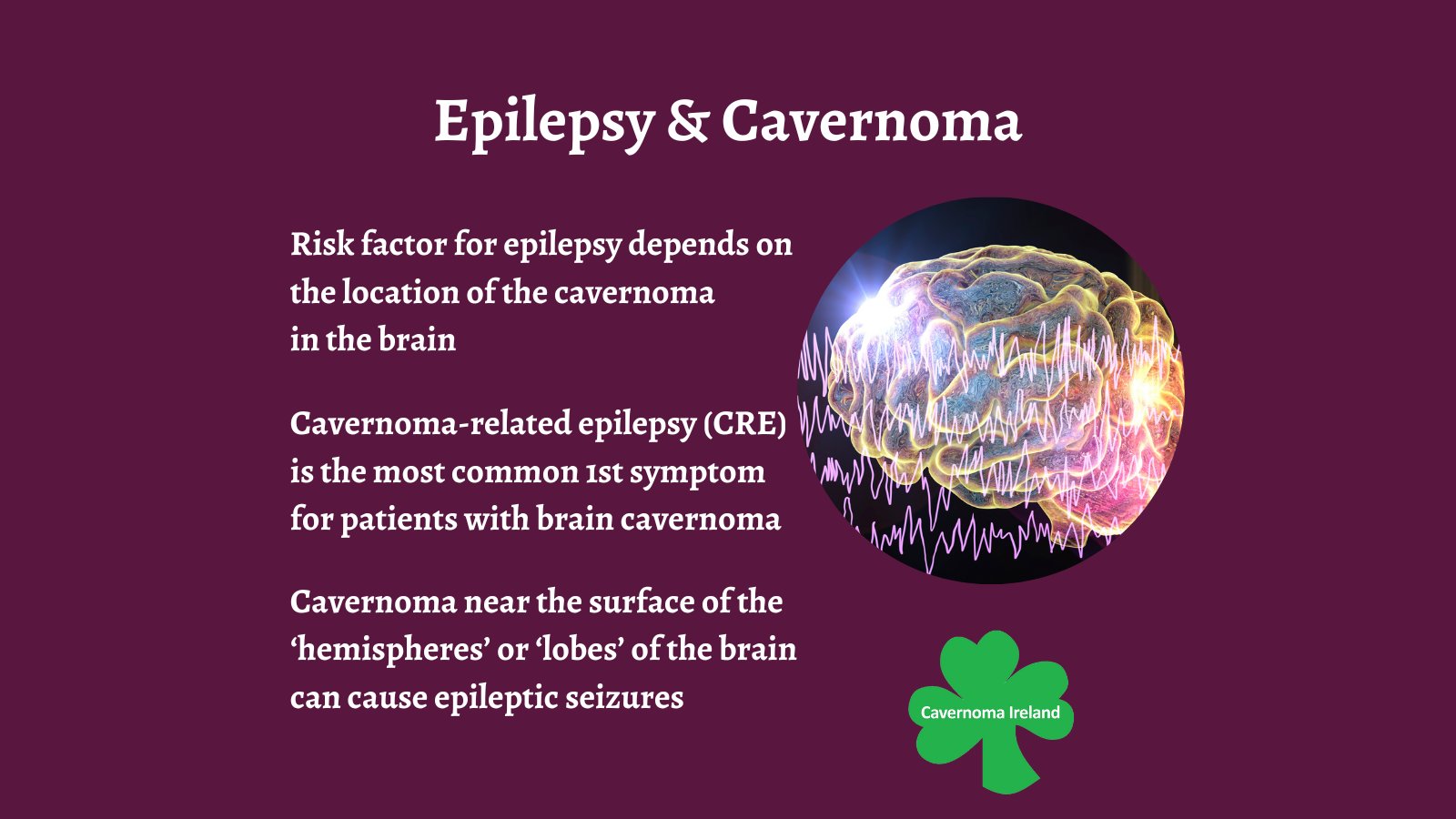 Epilepsy Risk Factors