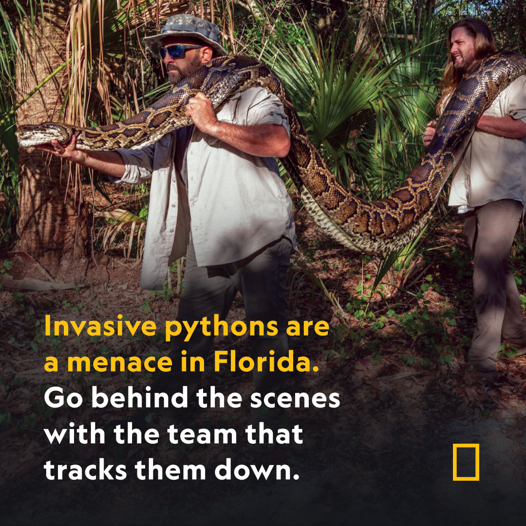 National Geographic on Twitter: "Get an exclusive, behind-the-scenes look at the quest to rid ...