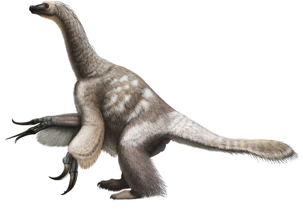 dinosauriformのTwitterイラスト検索結果。