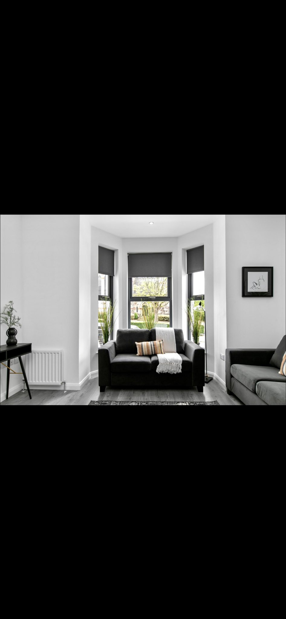 AssetBee (@assetbee1) / Twitter