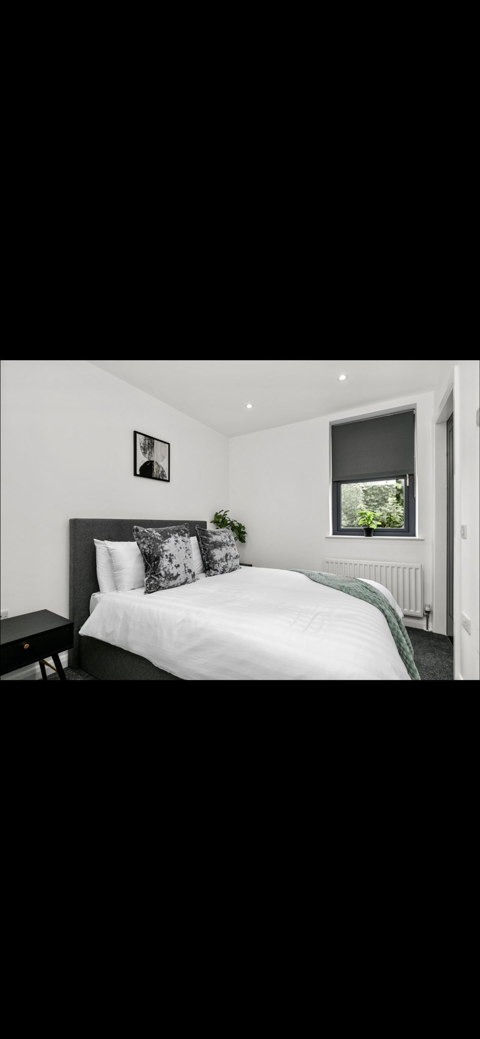 AssetBee (@assetbee1) / Twitter