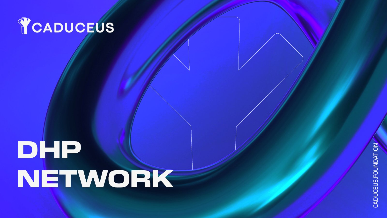 Caduceus on Twitter: "The DHP network (storage) structure is the communication layer for ...