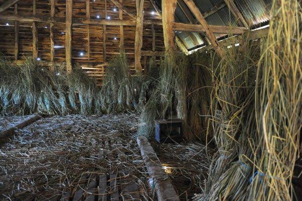 Thread by @wrathofgnon on Thread Reader App – Thread Reader App