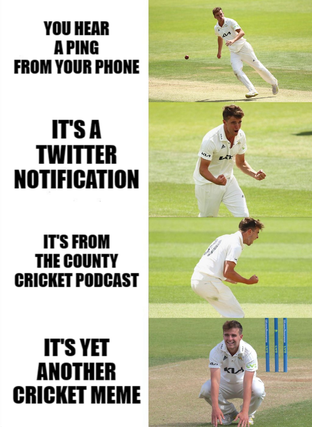 Cricket Phone Meme