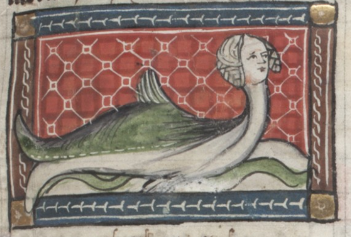 arm fish, netherlands, 14th century - Thread from weird medieval guys ...