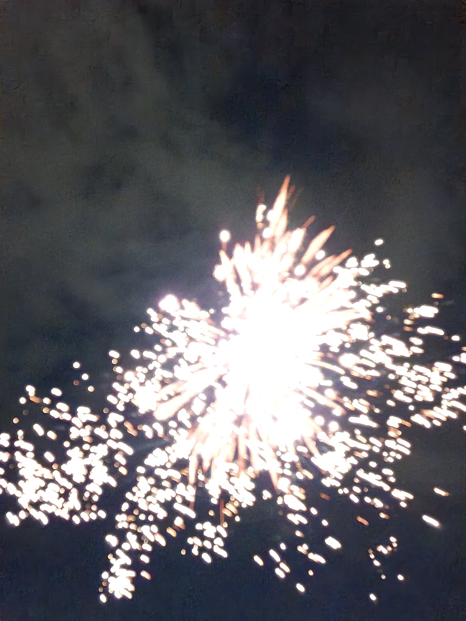 TW Pornstars - 2 pic. Rose Mastos. Twitter. I had a wonderful 4th of ...