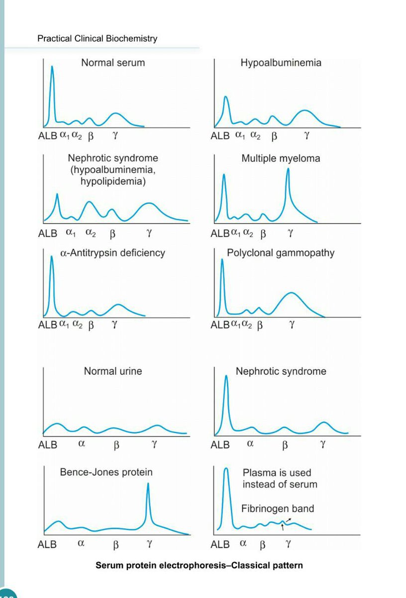 Serum protein electrophoresis test (SPET).. نزلت امس صورة فالبعض طلب ...