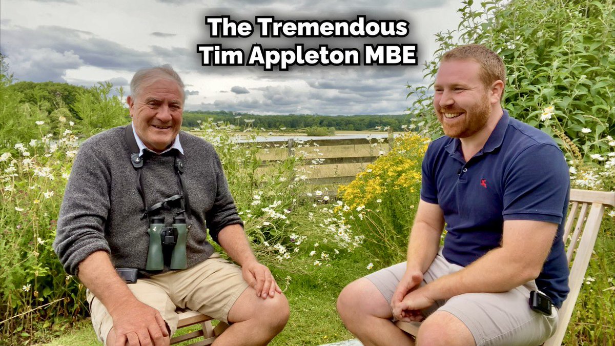 dominic dyer on Twitter: "RT @TinyTot66: Thanks for this Joel 🙏 fascinating interview with Tim ...