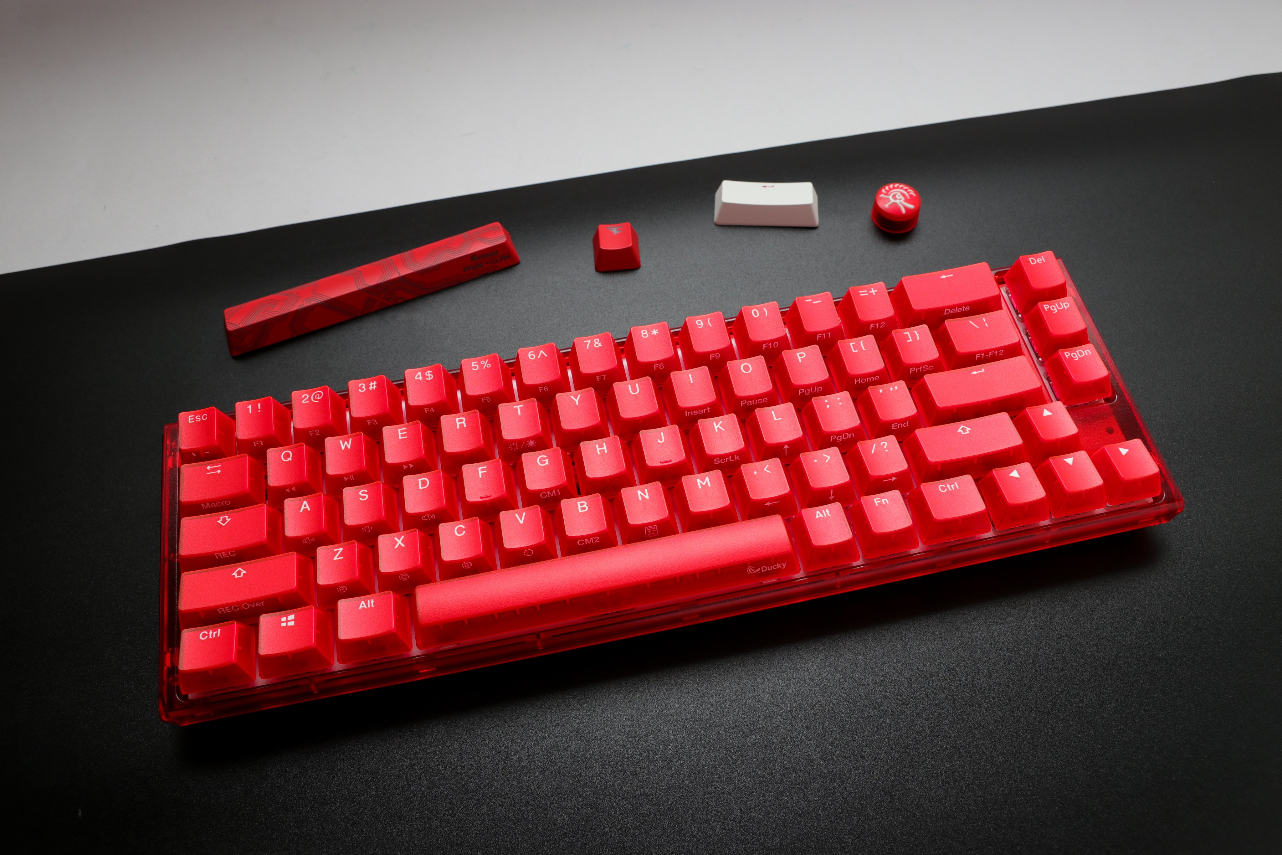 Ducky Global on X: Ducky Global on X: