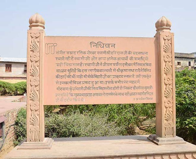 Nidhivan is a sacred place in Vrindavan. It is a forest of divine Tulsi ...