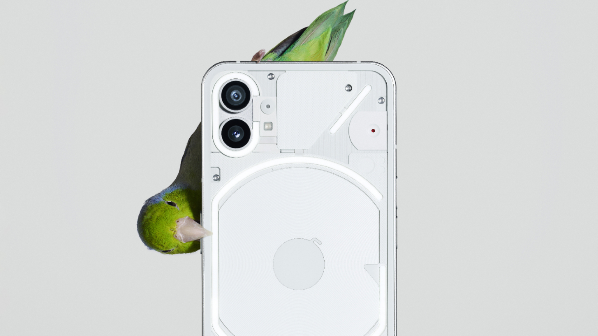 Nothing On Twitter With Limited Availability Pre order Phone 1 nothing-on-twitter-with-limited-availability-pre-order-phone-1