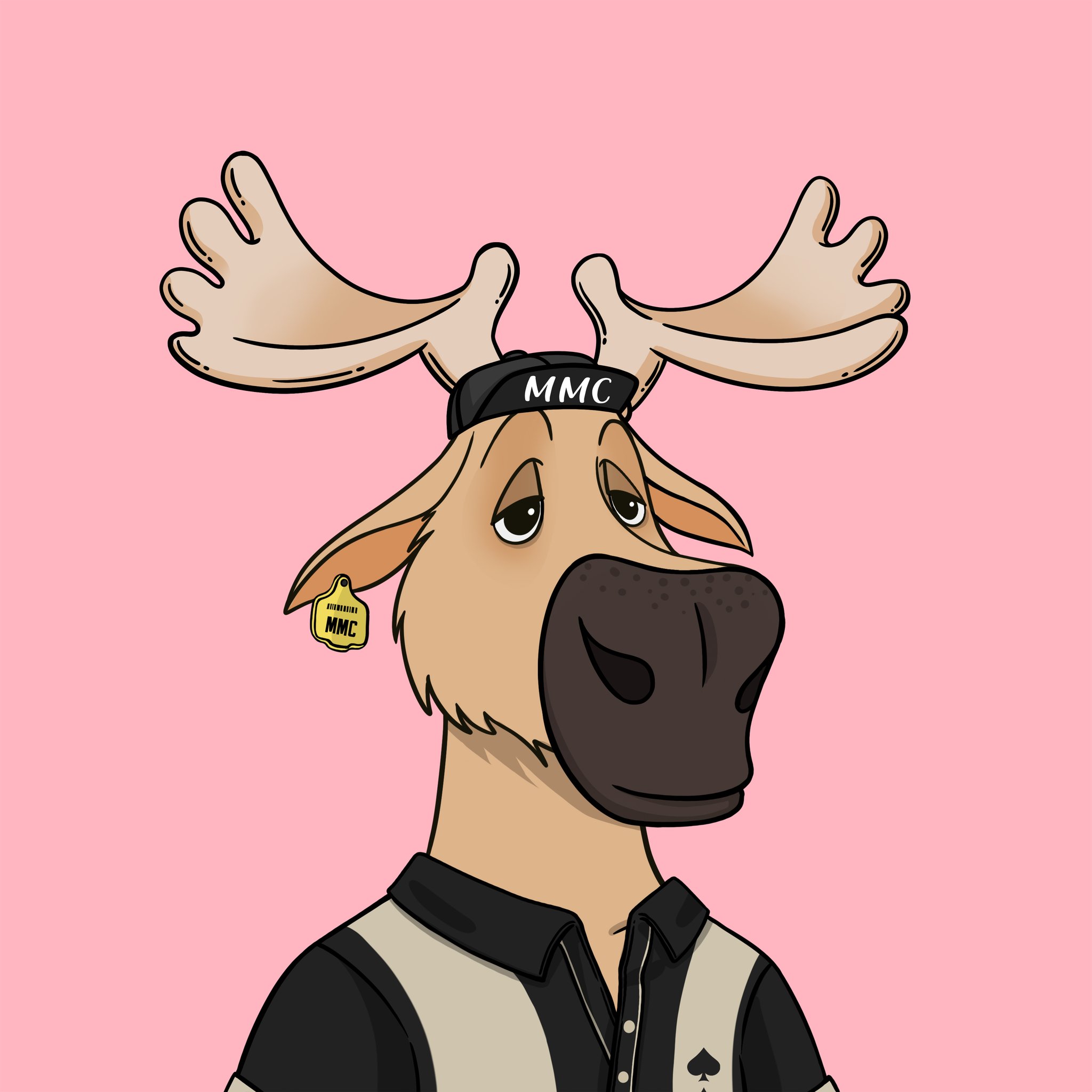 Modest Moose Club | Poker Club (@ModestMooseClub) / Twitter