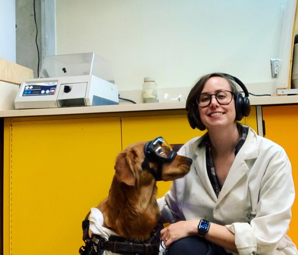 Service Pup Basil Mae 🦮 (she/her) on Twitter: "@guidedogs Here’s me ...