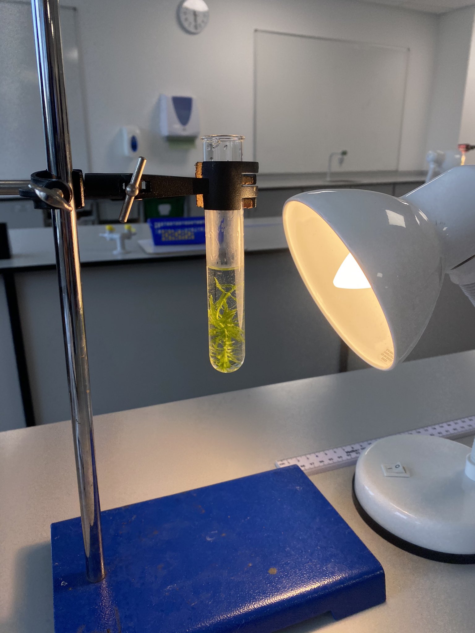 Muhiba Ahmed (@MuhibaAhmed) / Twitter