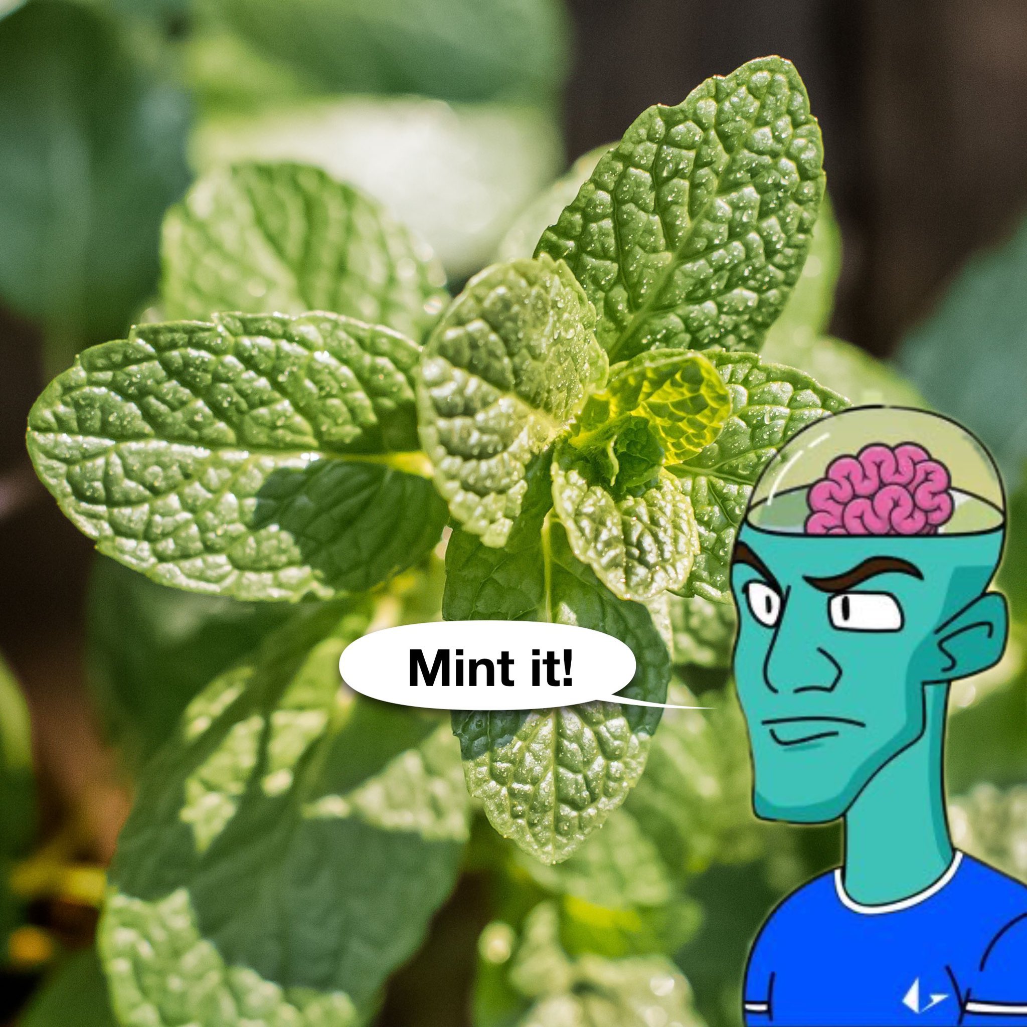 byron.loopring.eth (B.👾)💙🏴‍☠️ on Twitter: "@loopringorg Mint it on #Ethereum’s second layer💙 ...