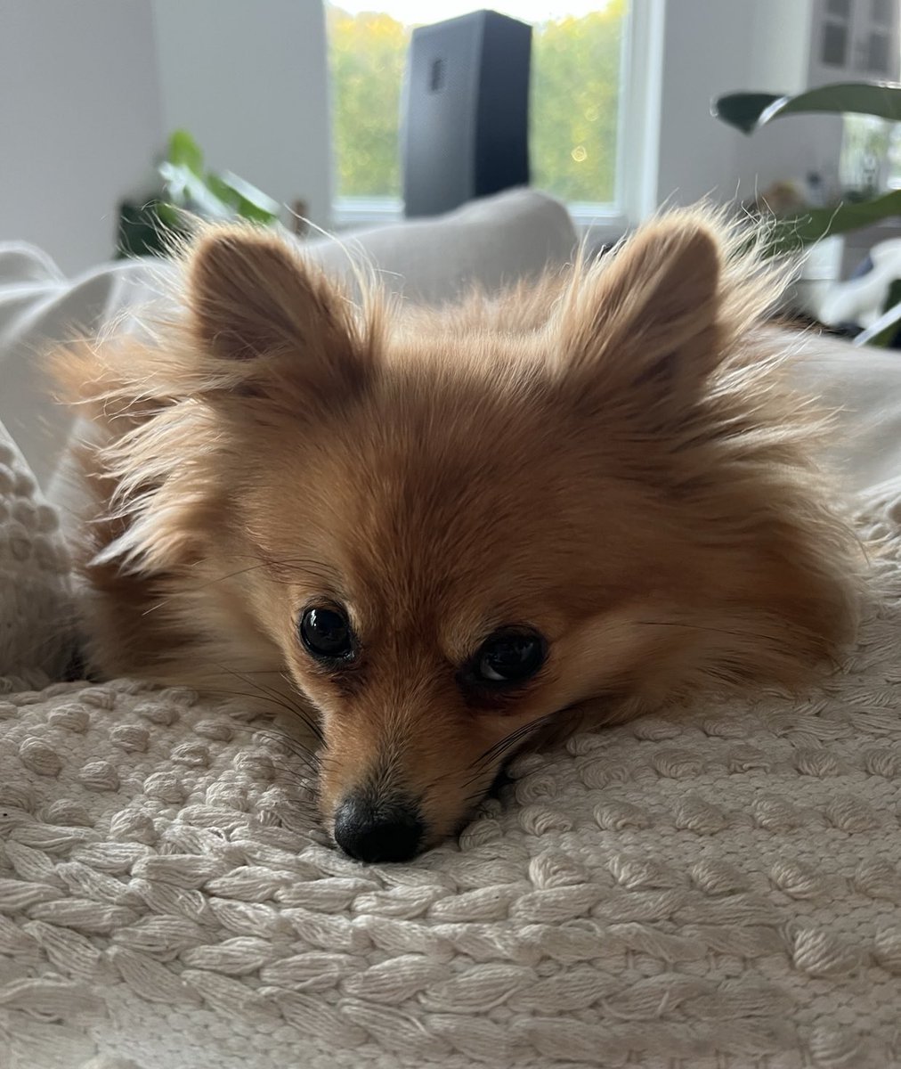 Have a wonderful day Jenfoxx @jenfoxxuwu