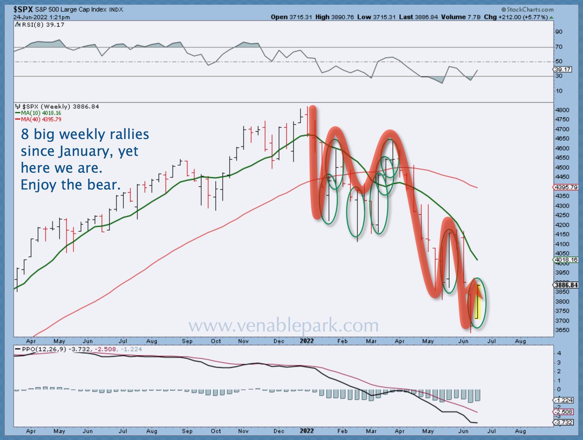 Juggling Dynamite | By Danielle Park