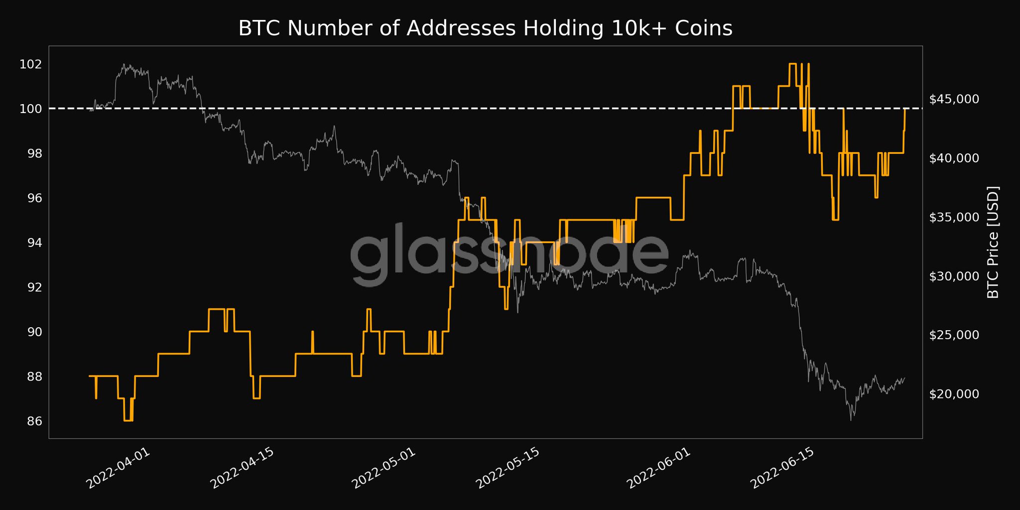 glassnode alerts on Twitter: "📈 #Bitcoin $BTC Number of Addresses Holding 10k+ Coins just went ...