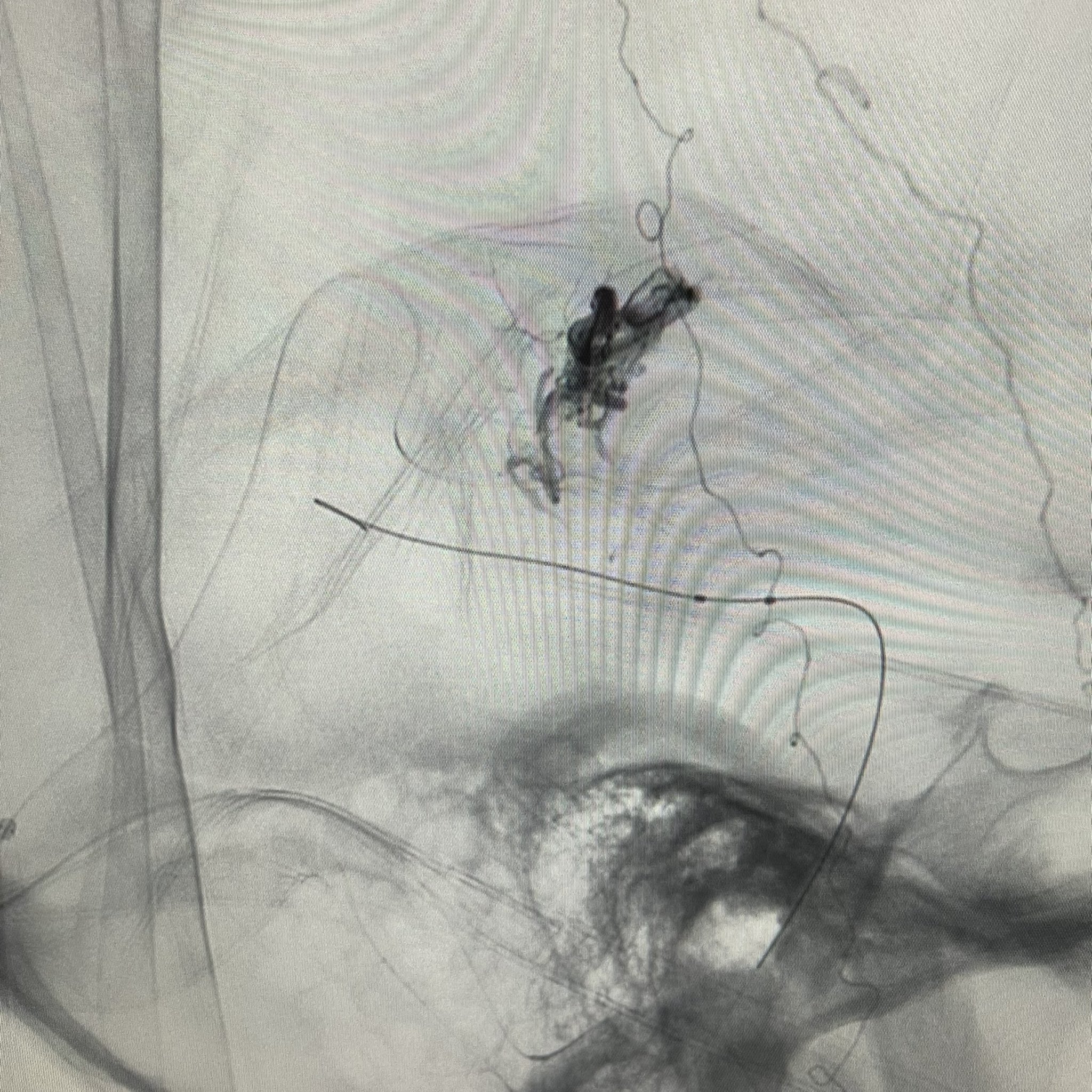 Hammami Nadia (@HammamiNadia11) / Twitter