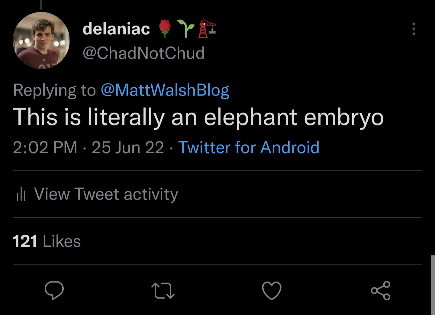 Elephant Embryo Memes 🐘 Elephants Are A Symbol Of Good Luck,