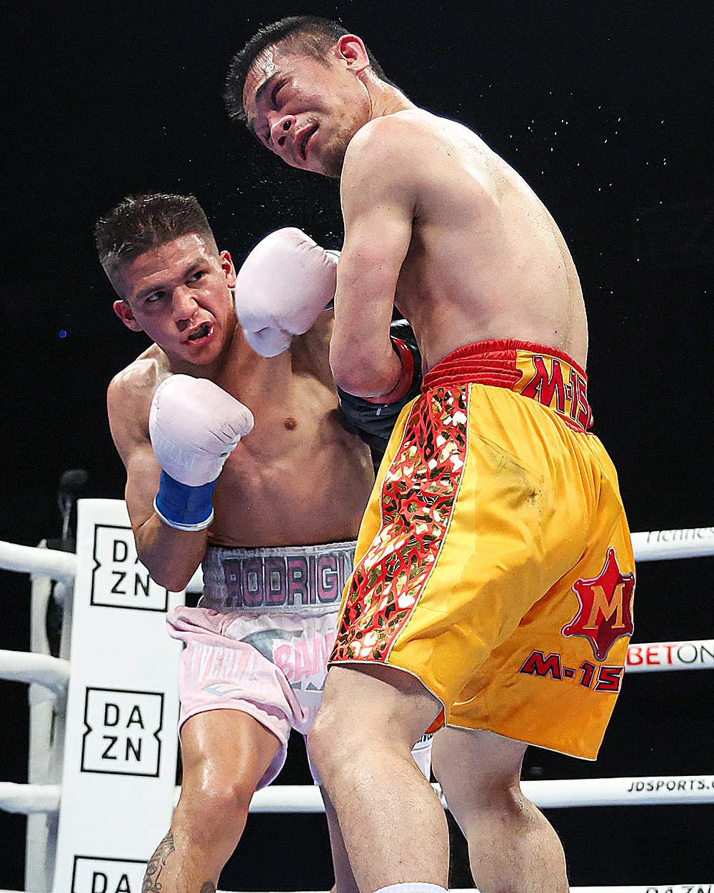 Boxing News on Twitter: "Jesse Rodriguez makes a huge statement at super-flyweight with a ...