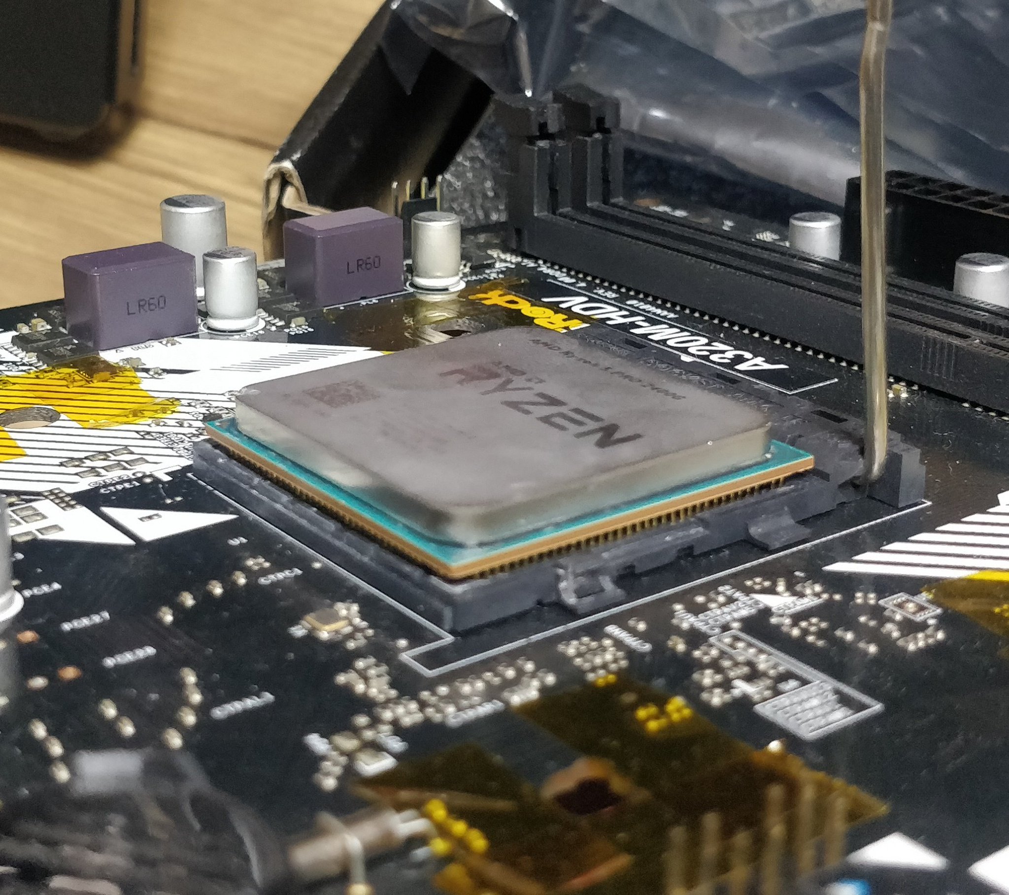 カピさん Kapi Lab. on Twitter: "まずは良い子に矯正が必要ですね🤔 https://t.co/6me4YZXcw1" / Twitter