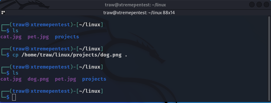 Linux fundamentals - Everything you need to know about copying files.🧵🐧 ...