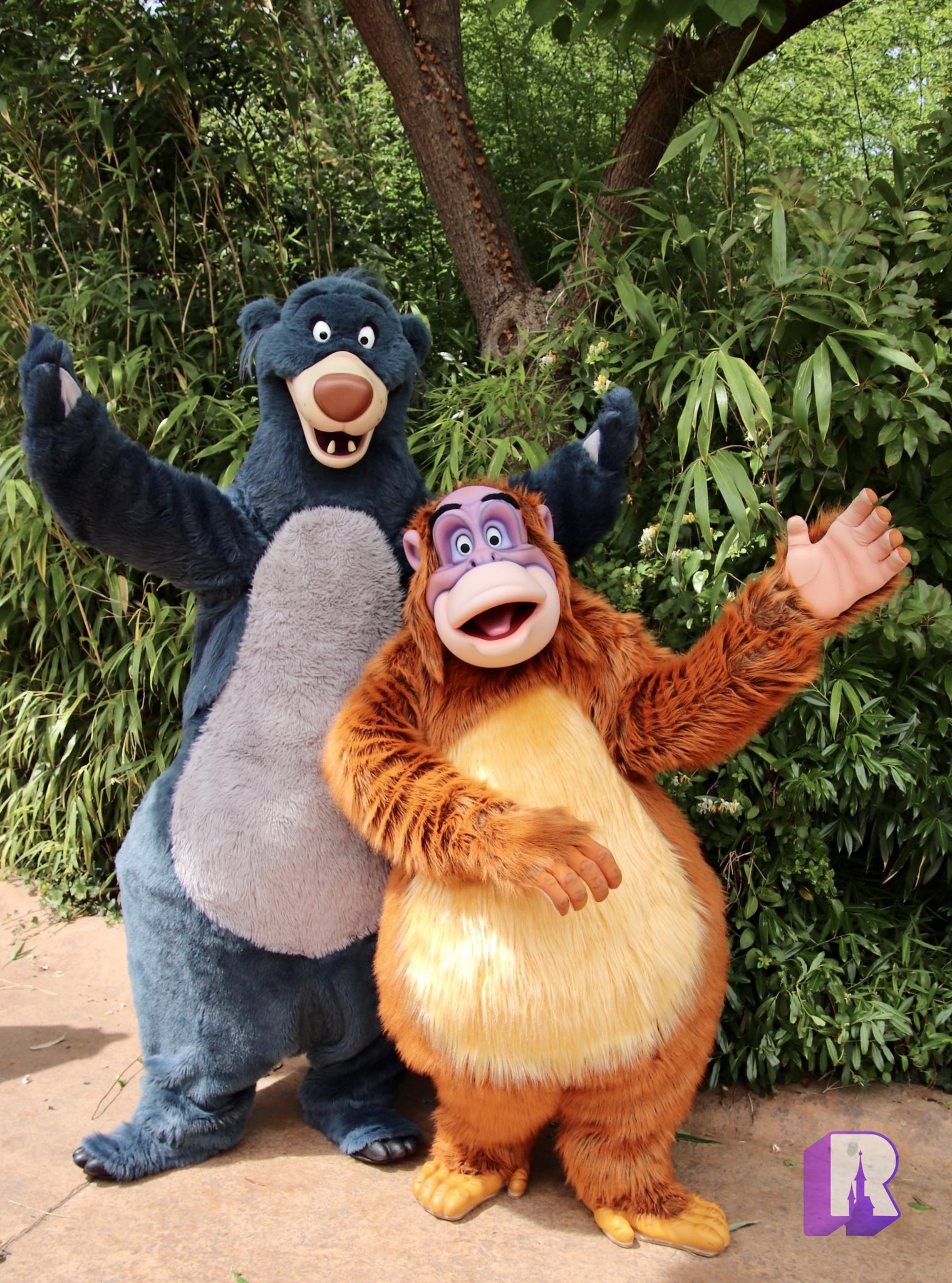 Jungelbok King Louie Og Baloo King Louie Archieven Tokoloco