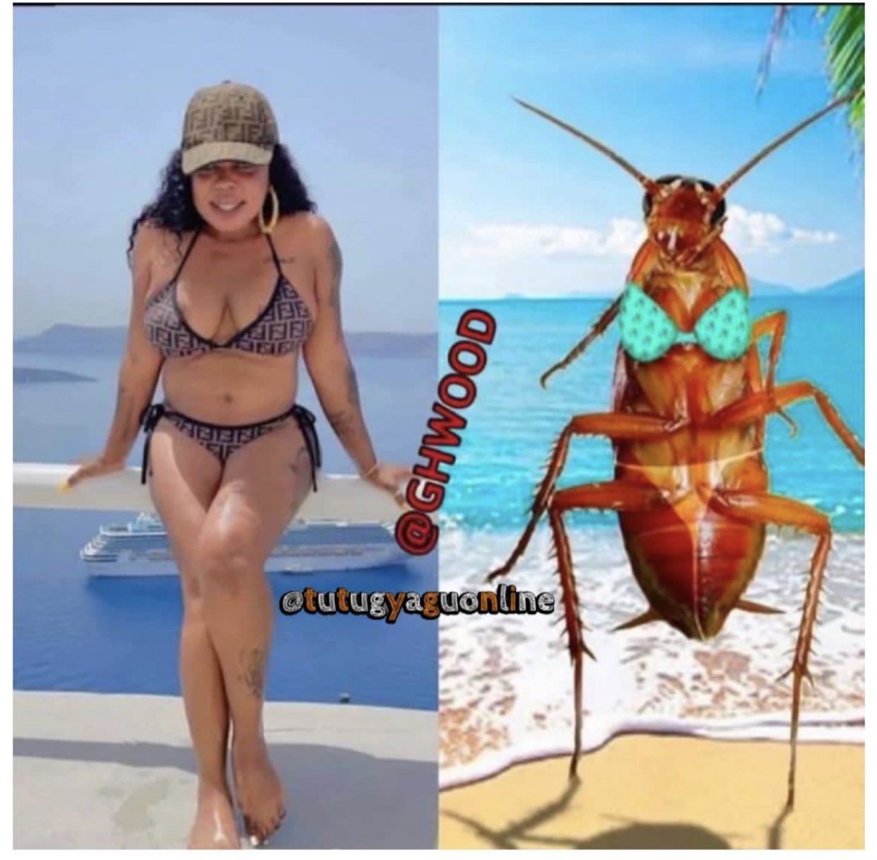 Spankii ⚪️ on Twitter: "#laveladadelano2 Oh, who did this? Justice for the cockroach 😆 https://t ...