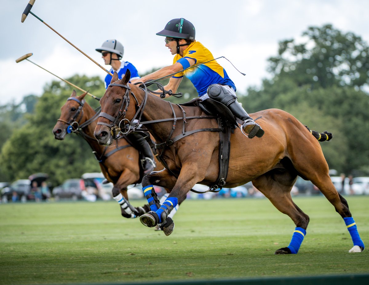 Home - Hurlingham Polo Club, Polo Team, Polo Game, Polo Magazine