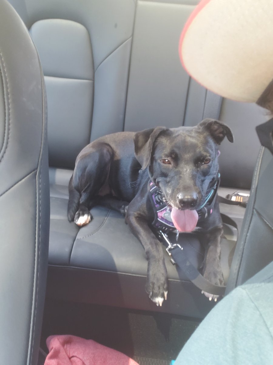 Thread by @Dylan_Housman on Thread Reader App – Thread Reader App