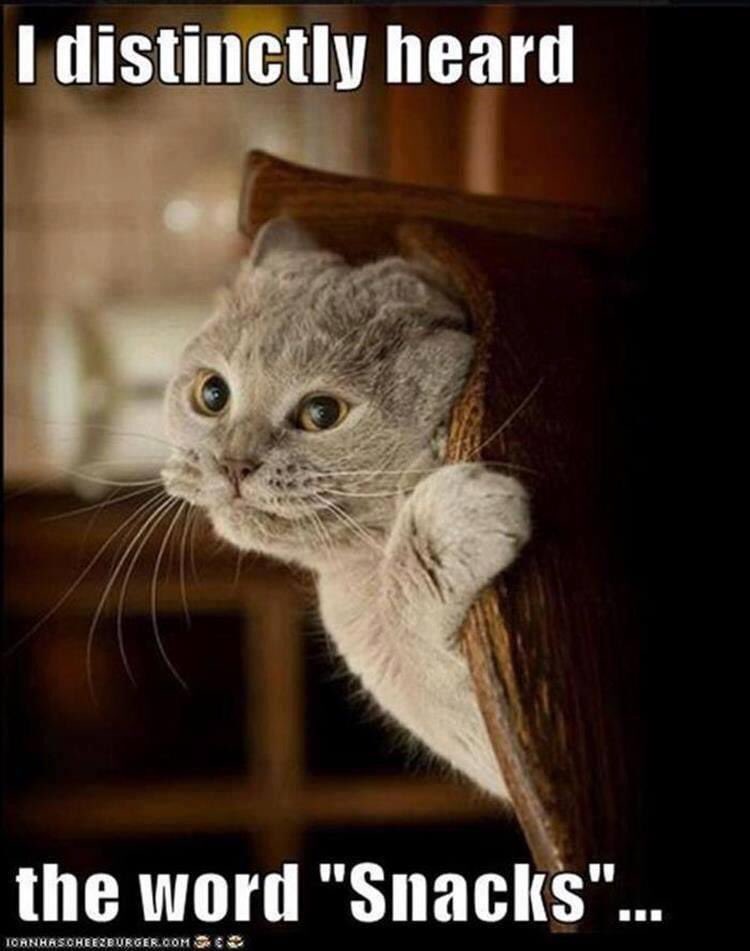 Funny Hungry Meme