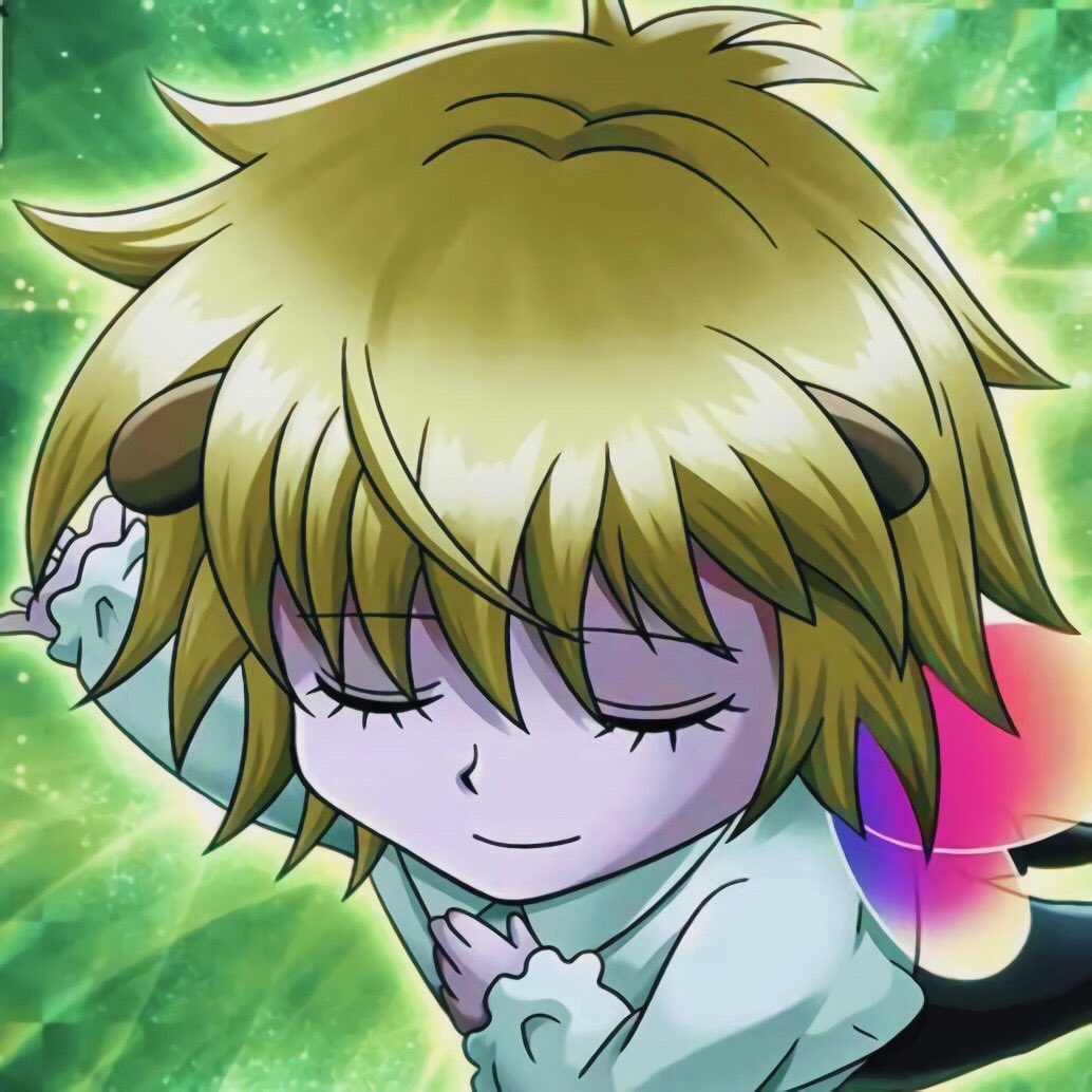 Shaiapouf Hunter X Hunter