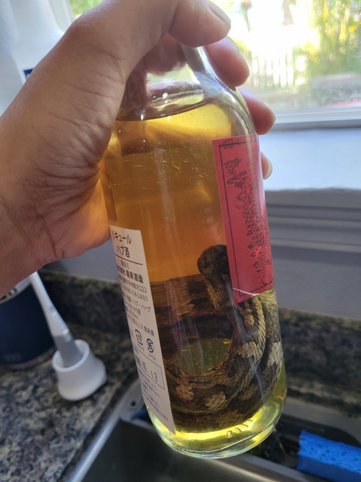 Japanese Sake With Snake