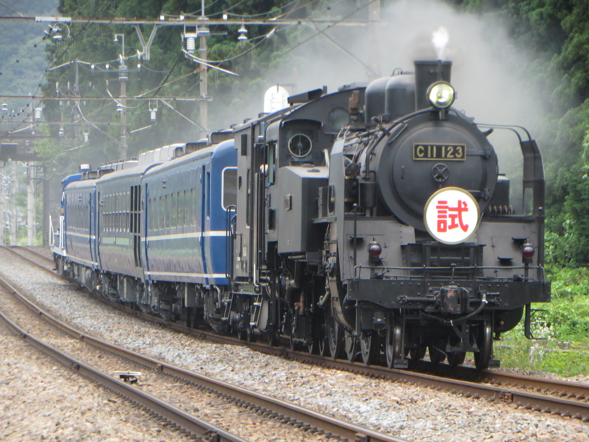 緑の御旗 on Twitter: "2022年6月28日 東武C11-123+ヨ8000+14系・12系+DE10-1109 試運転 東武鉄道3台目のSLとして本日初の本線試運転を行った123 ...